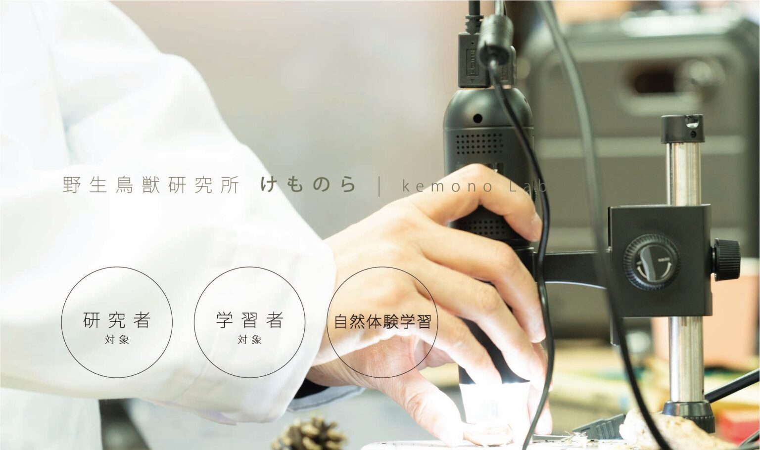 野生鳥獣研究所「けものら」kamono lab. – 丹波篠山市草山研究所に位置し、地域からワンヘルス(One Health)の取組を推進する ...